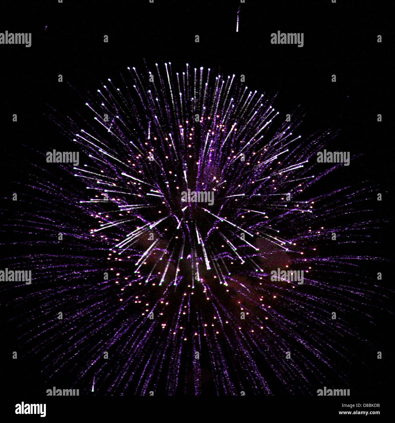 A vibrant display of purple fireworks bursting in the night sky ...