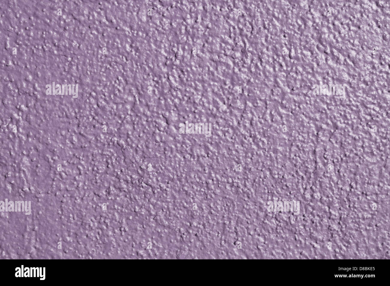 A painted wall with a smooth texture in a purple heather color. This ...
