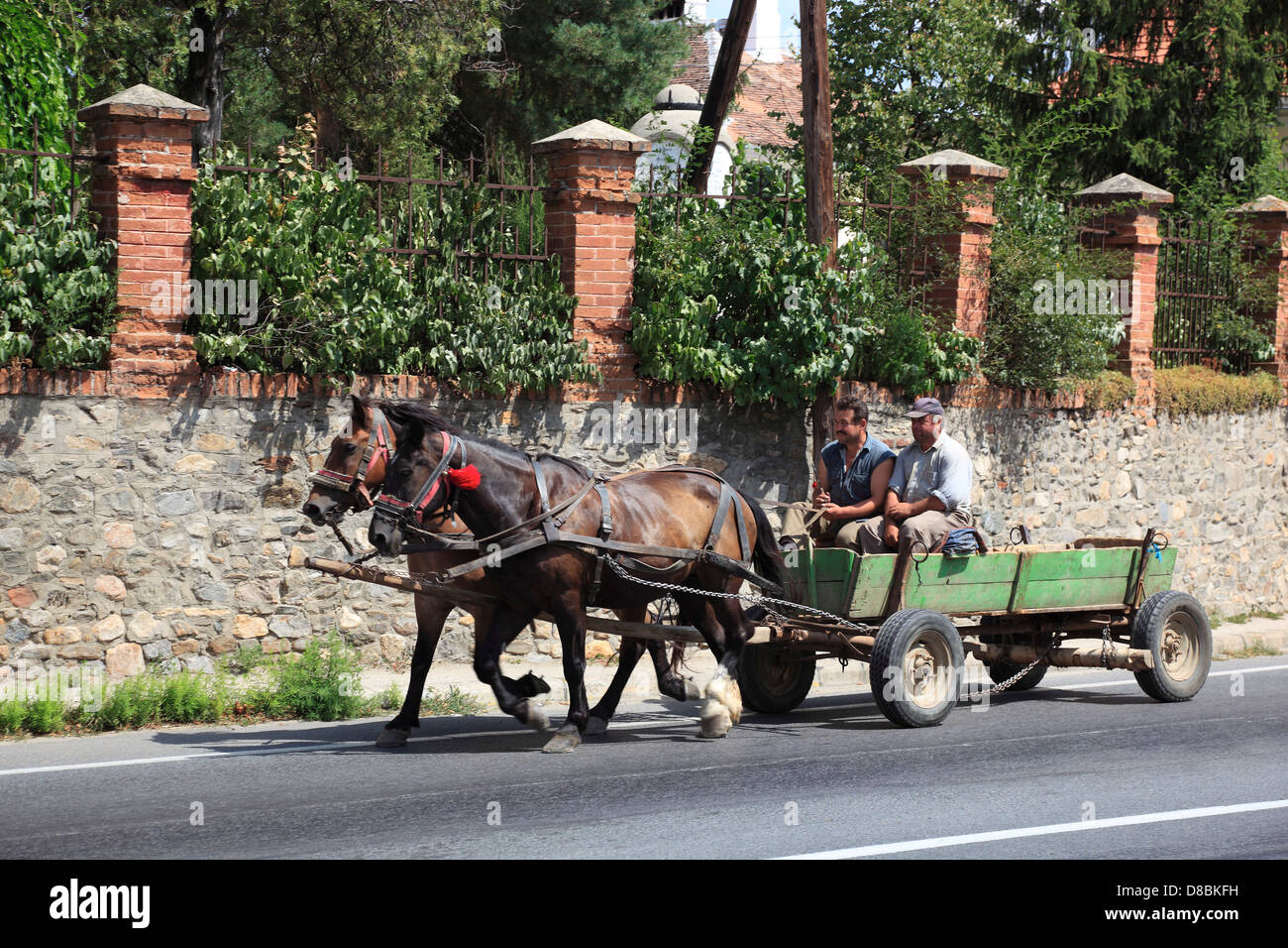 Horse carriage in Transylvania, Romania Stock Photo - Alamy