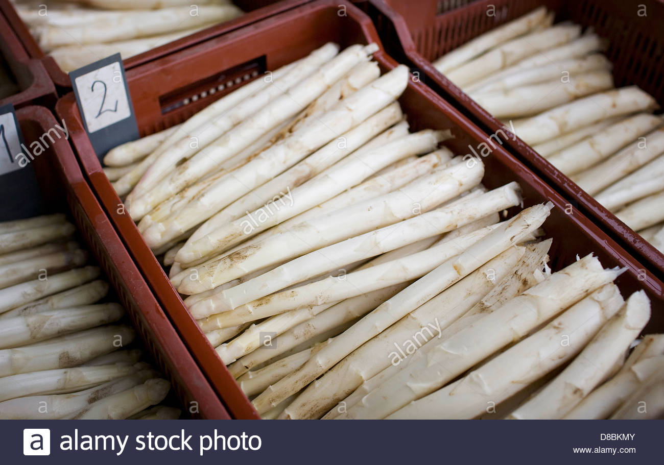 White Asparagus Germany Stock Photos & White Asparagus Germany Stock ...