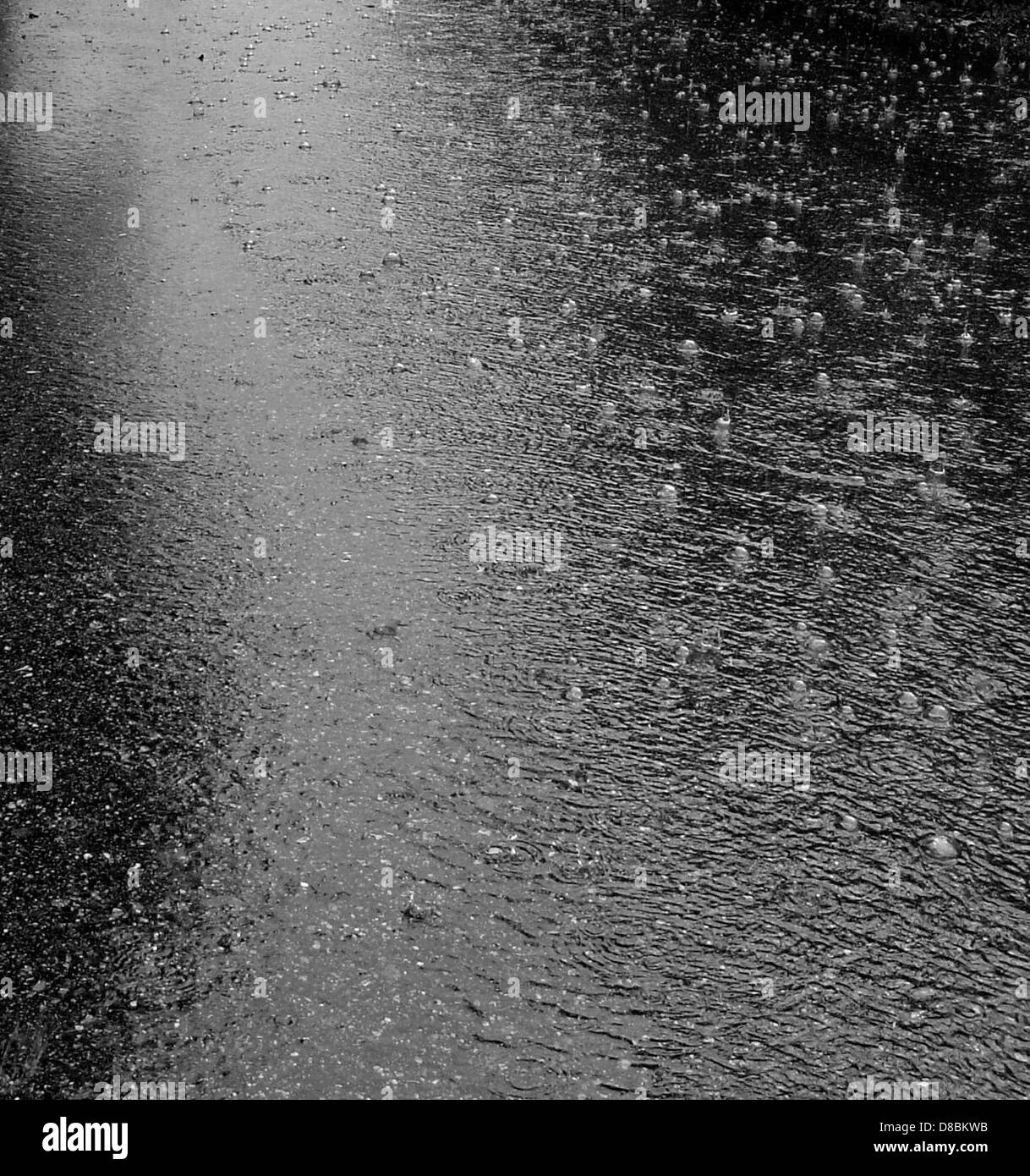 Raindrops falling onto a water surface, creating ripples and bubbles. The image captures the ...
