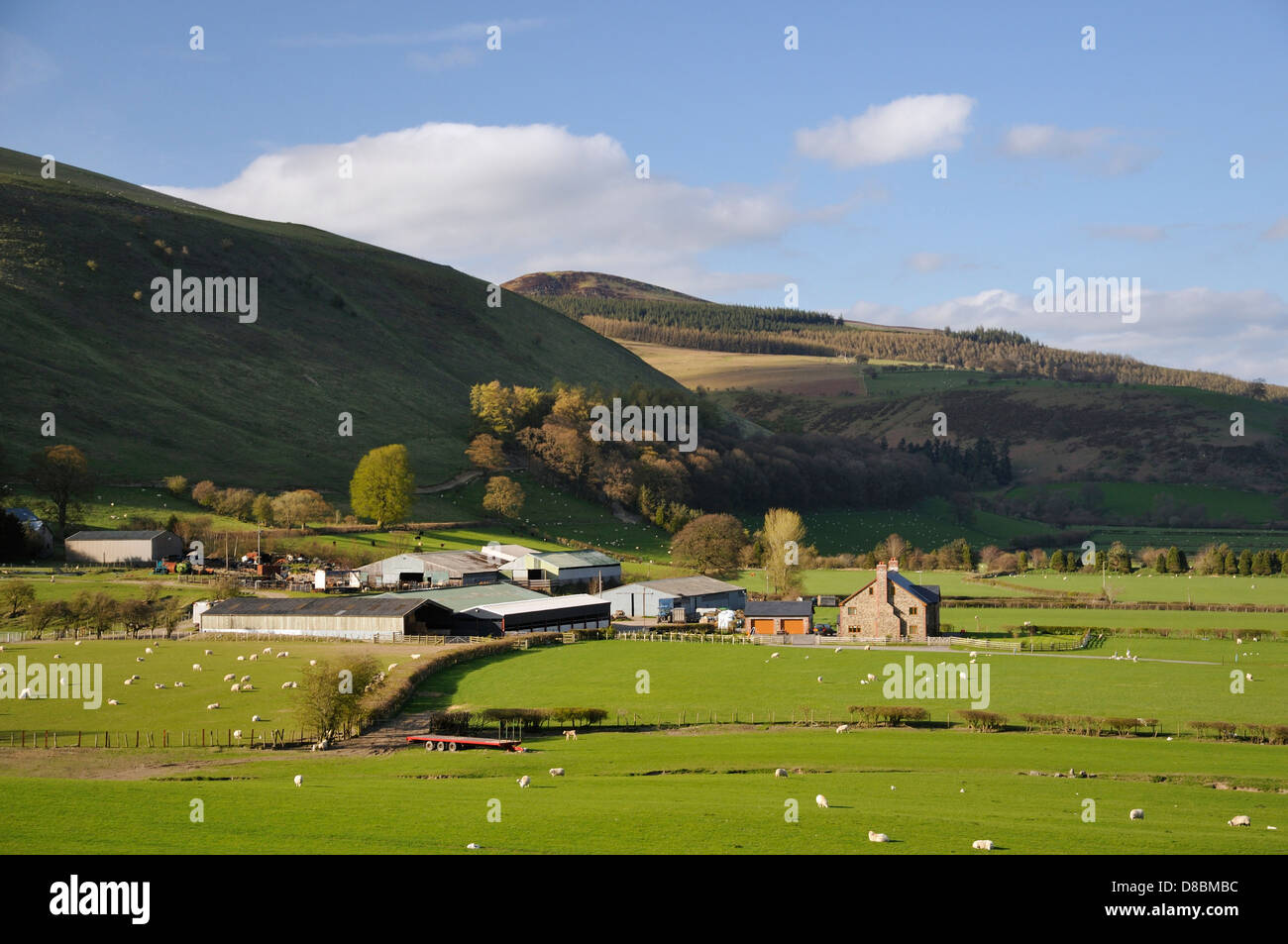 Vron Farm & Fron Hill, Radnor Forest, Powys, Wales Modern Welsh Hill ...