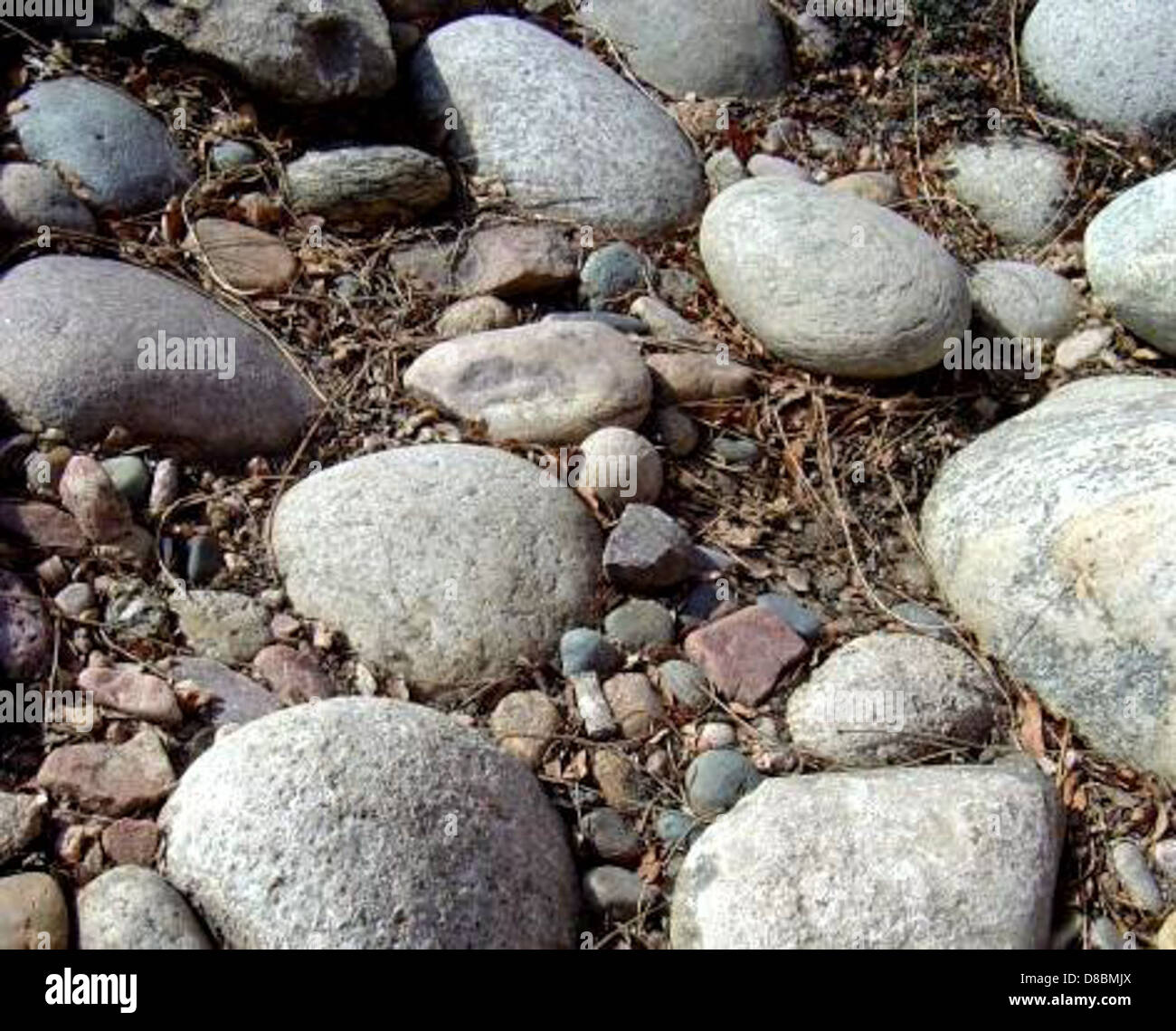 A collection of rocks, displaying various shapes and textures, set ...