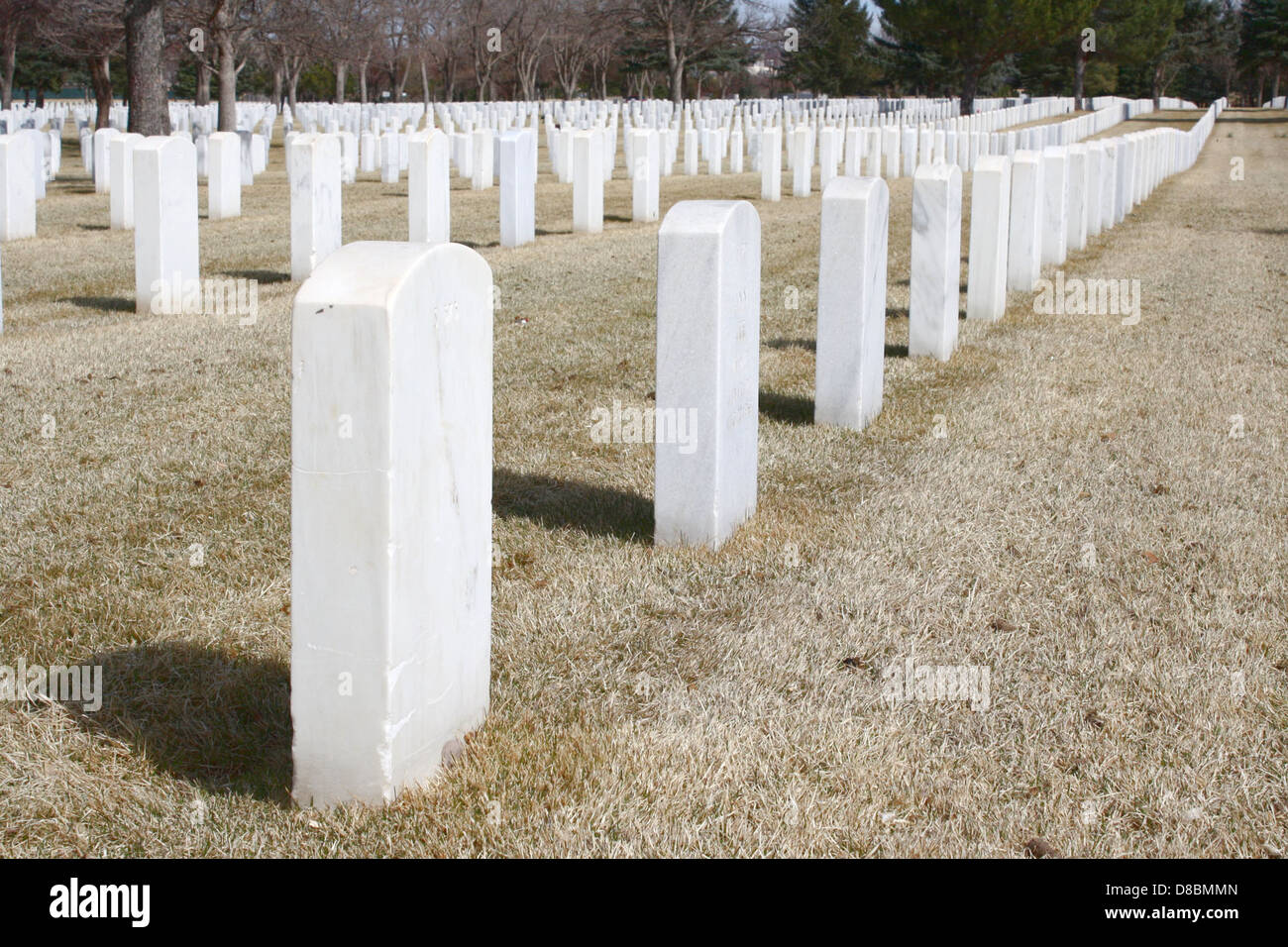 rows of headstones at cemetery Stock Photo - Alamy