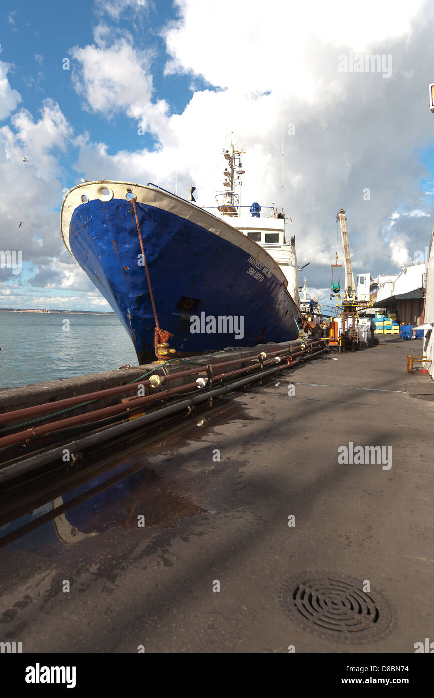 ship in the harbour Stock Photo - Alamy
