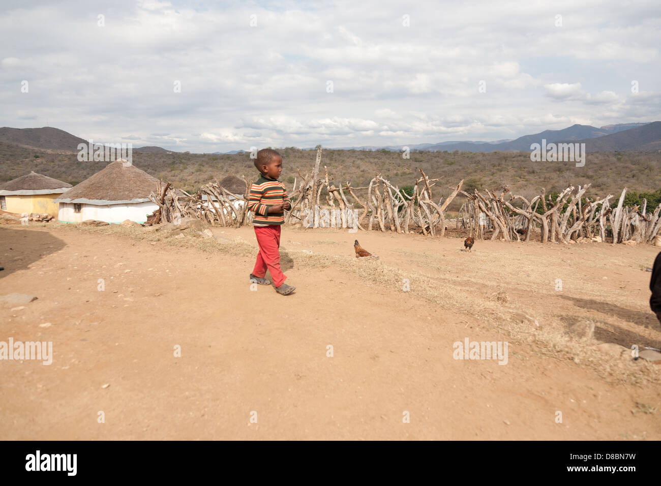 An African child walking outside his family's animal kraal in a Stock ...