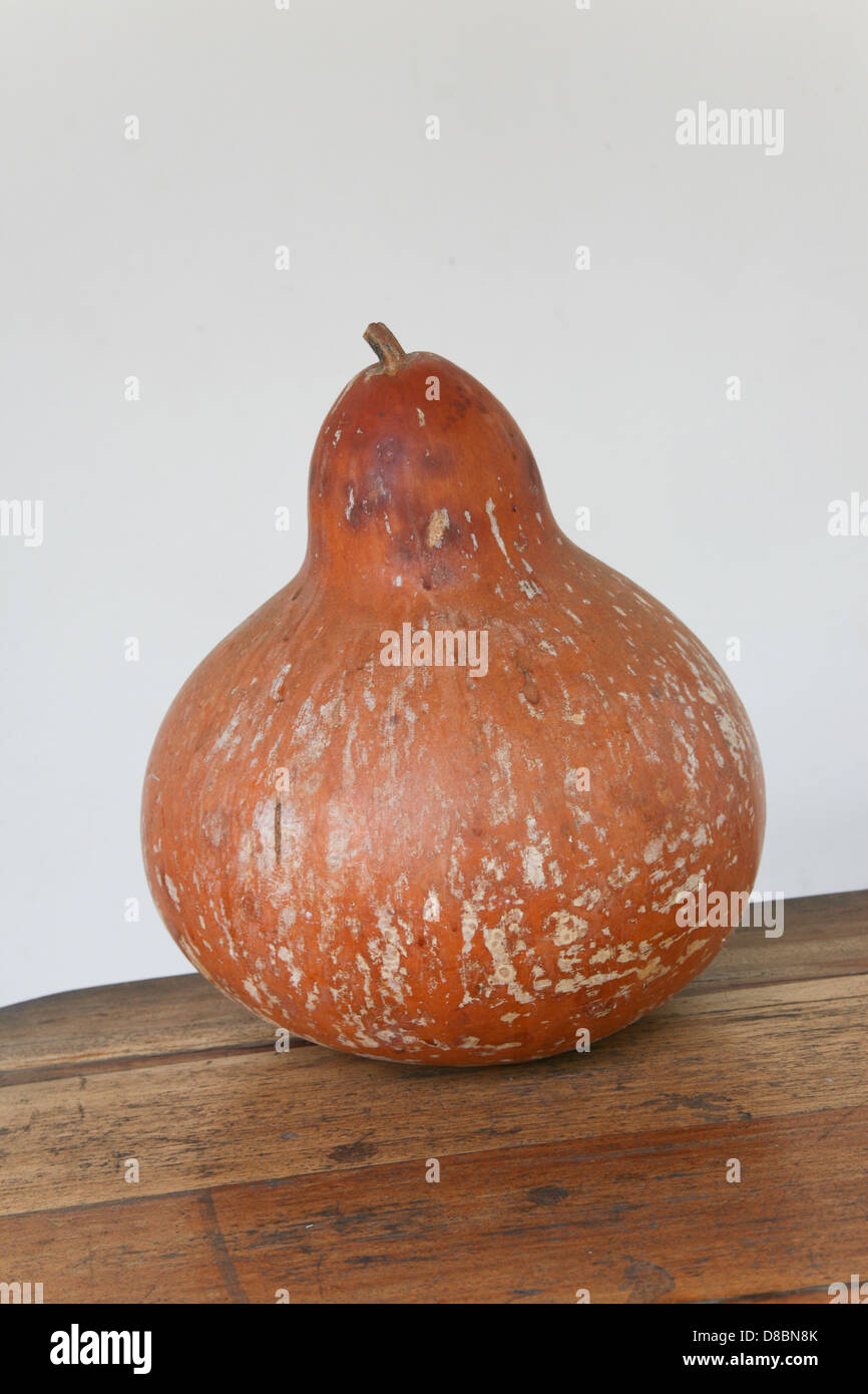 Kalabash on a white background Stock Photo - Alamy