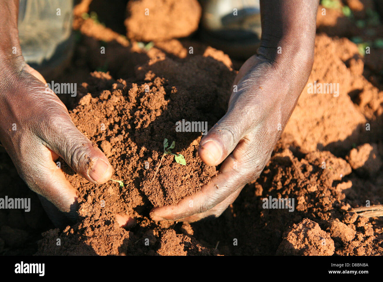 African farm hands hi-res stock photography and images - Alamy