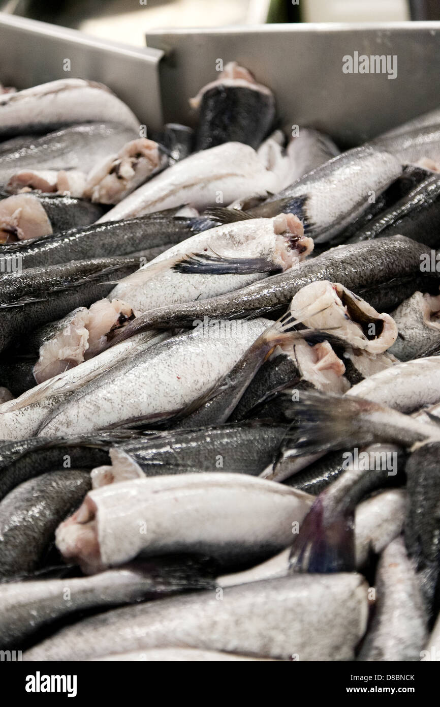 Sea harvest saldanha bay hi-res stock photography and images - Alamy