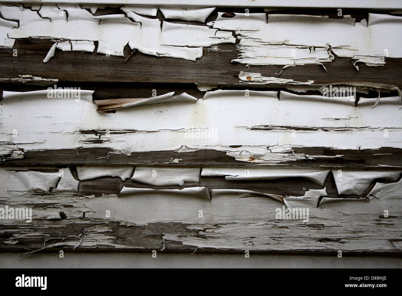 A close-up of building siding with peeling paint, revealing the texture ...
