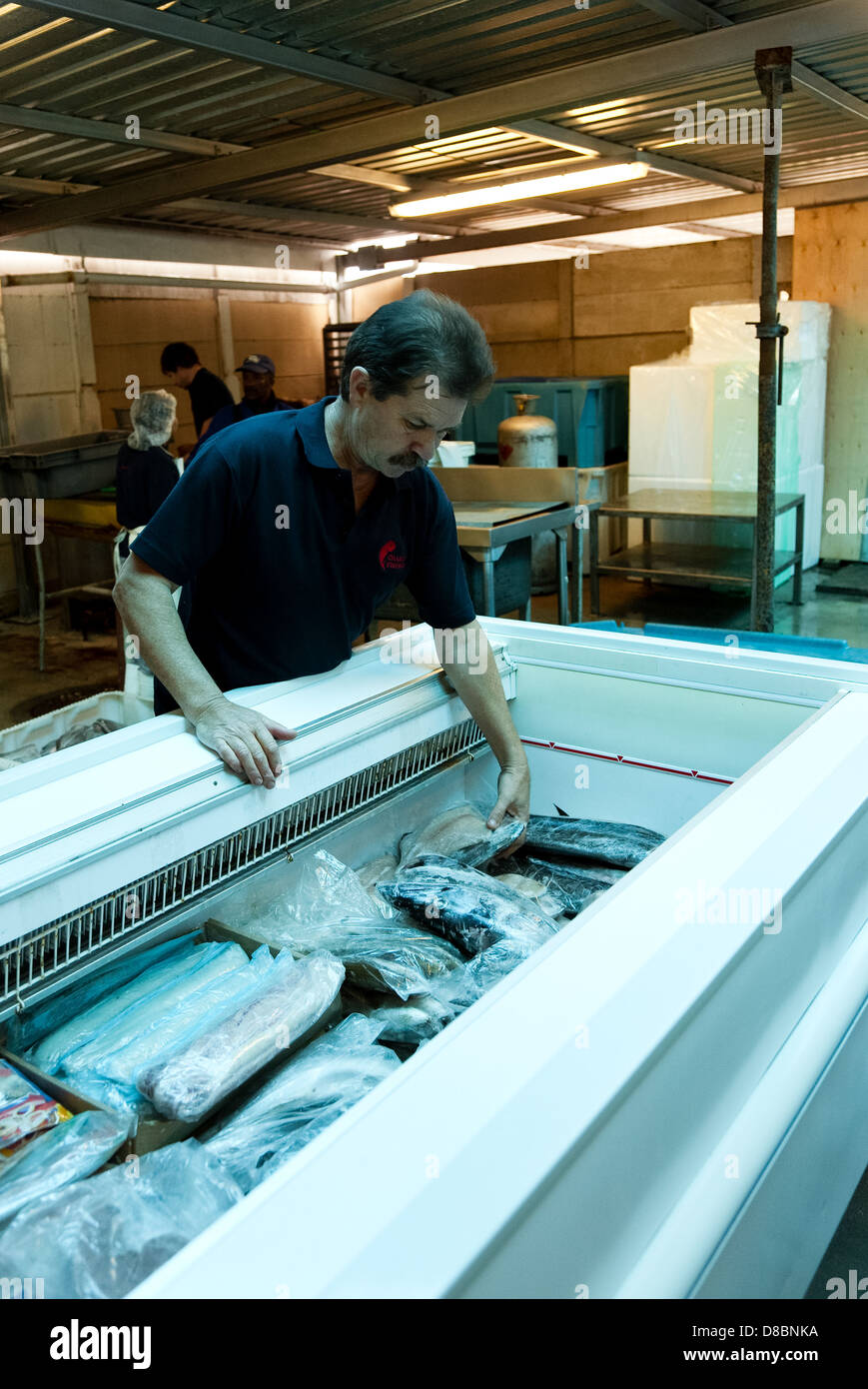 fish monger sorts his fish Stock Photo - Alamy