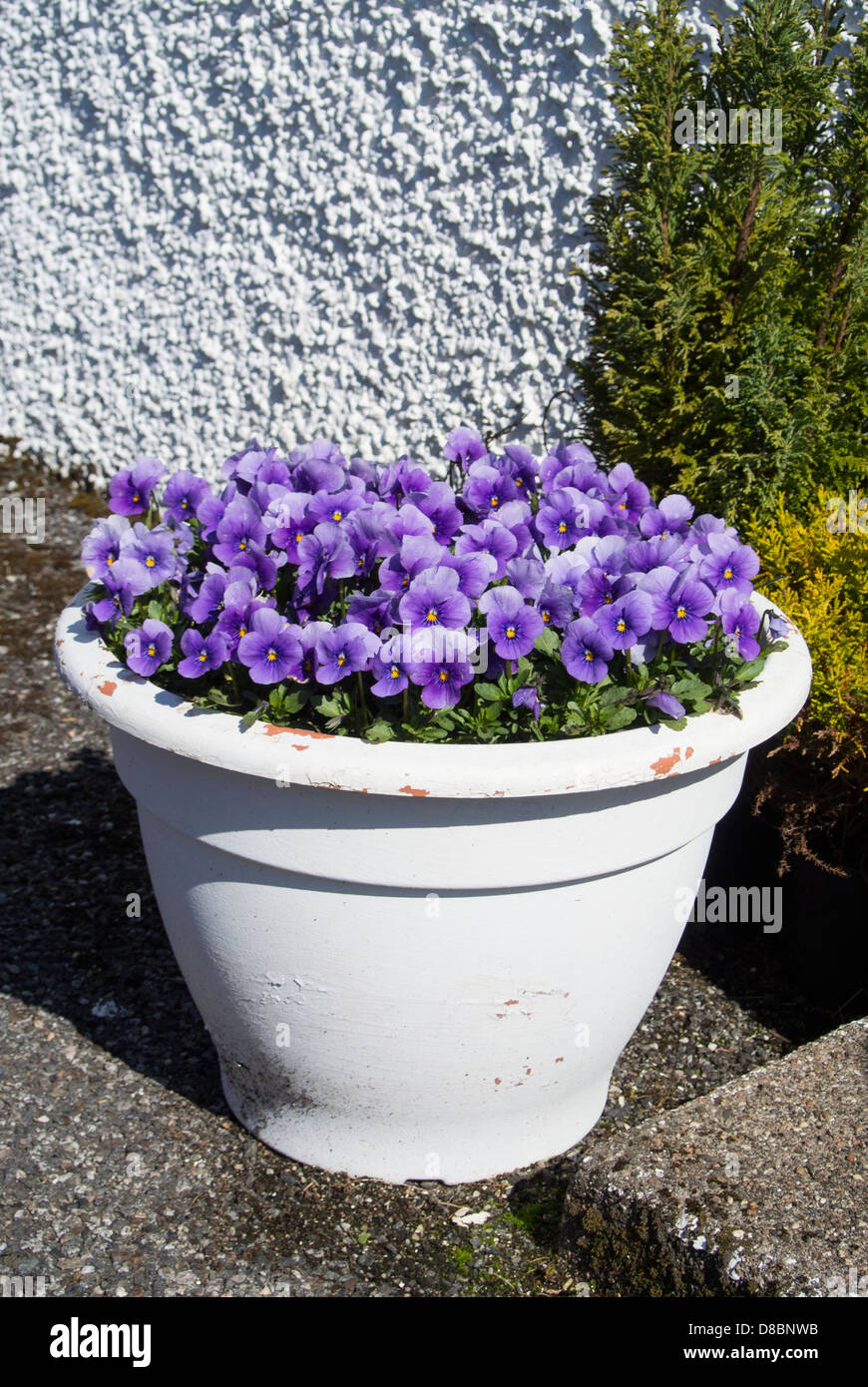 Painted containers hi-res stock photography and images - Alamy
