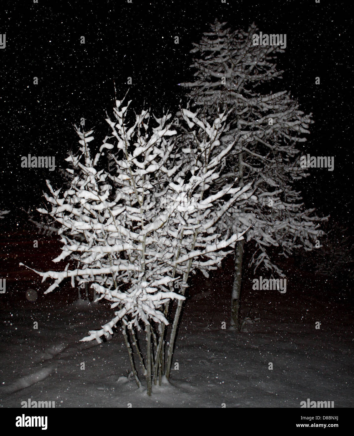 Image captures nighttime atmosphere hi-res stock photography and images ...