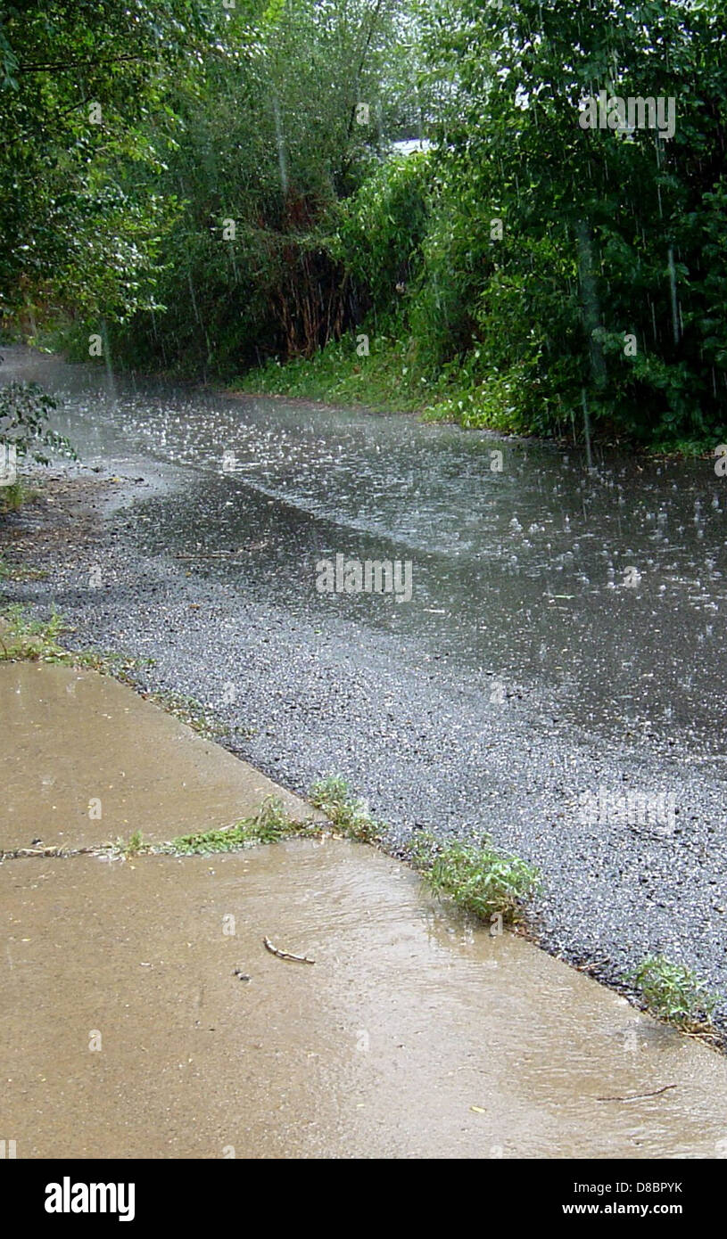 A rare sunny rainstorm occurs with bright sunlight shining through ...