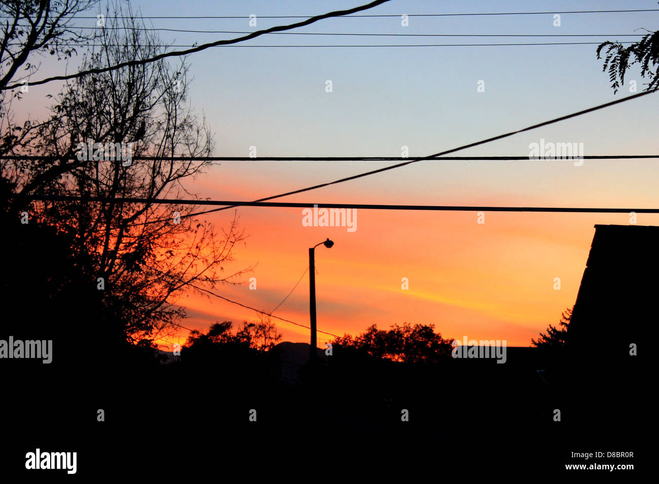 A sunset scene viewed through power lines, with the setting sun ...