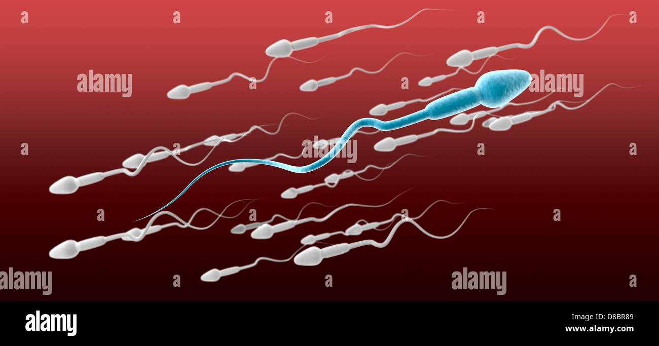A microscopic perspective view of a blue sperm cell in the foreground ...