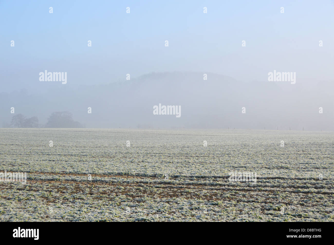 A Frosty Misty Field in an English Landscape in Early Spring with hills ...