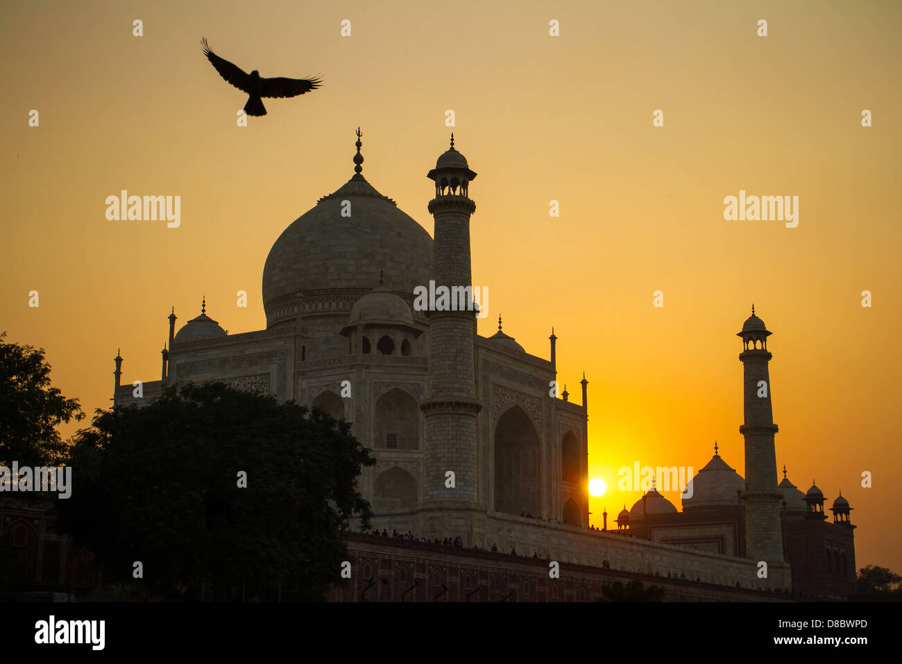 Taj Mahal sunset view from the banks of the Yamuna river Stock Photo ...