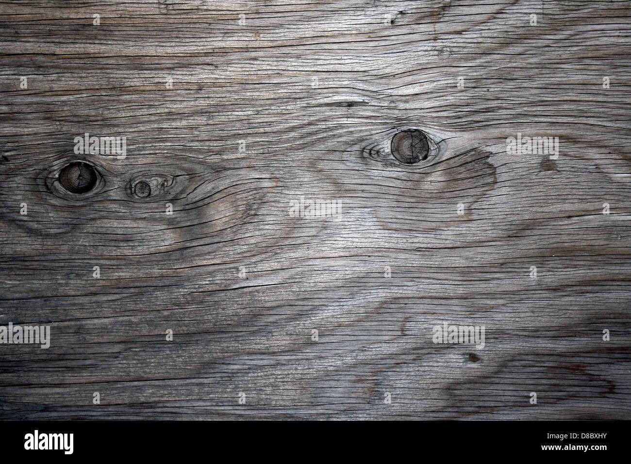 Wood grain texture showcases hi-res stock photography and images - Alamy