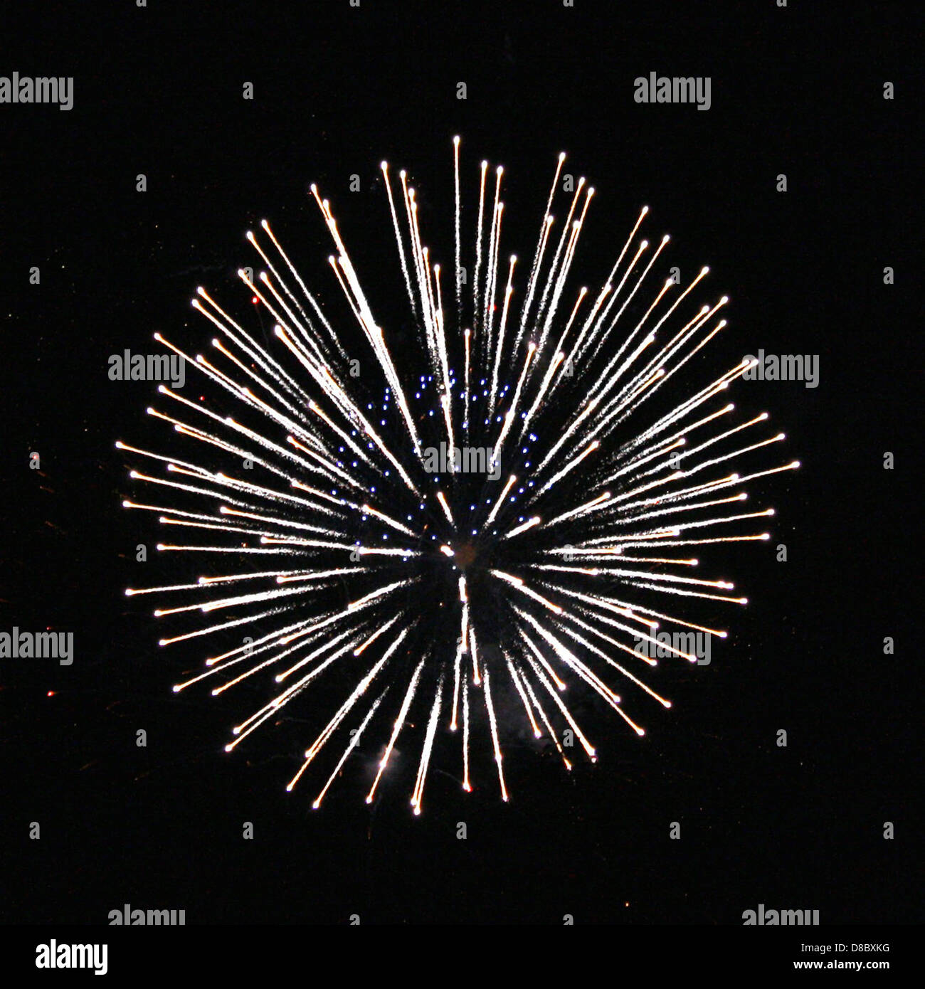 White and blue starburst fireworks illuminate the night sky, creating a ...