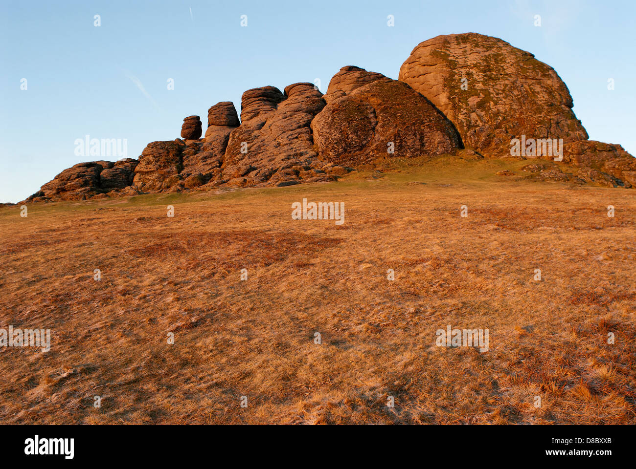 Haytor, Dartmoor National Park, Devon Stock Photo - Alamy