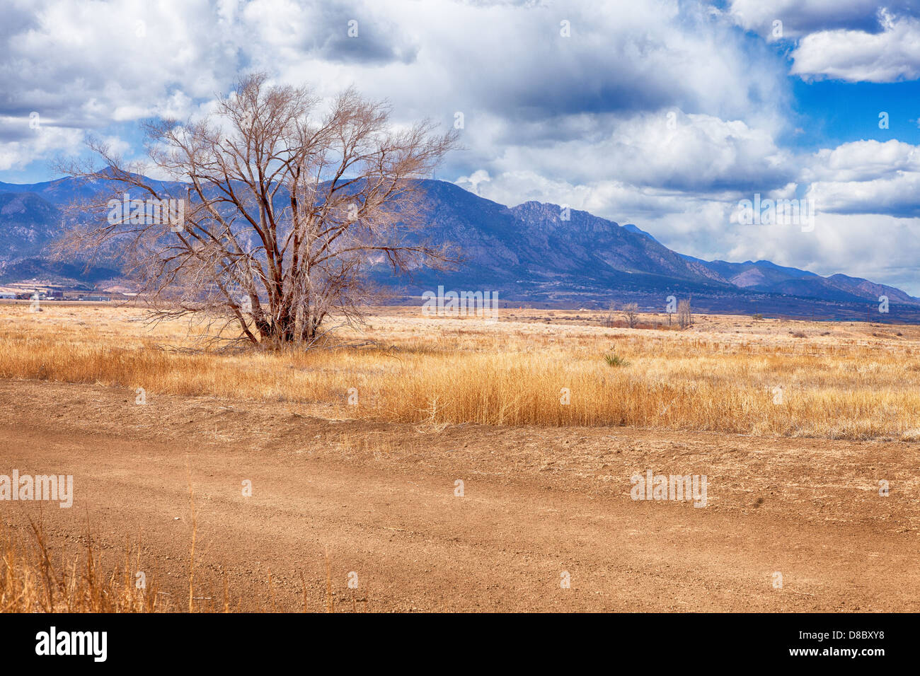 A Colorado Landscape Stock Photo - Alamy