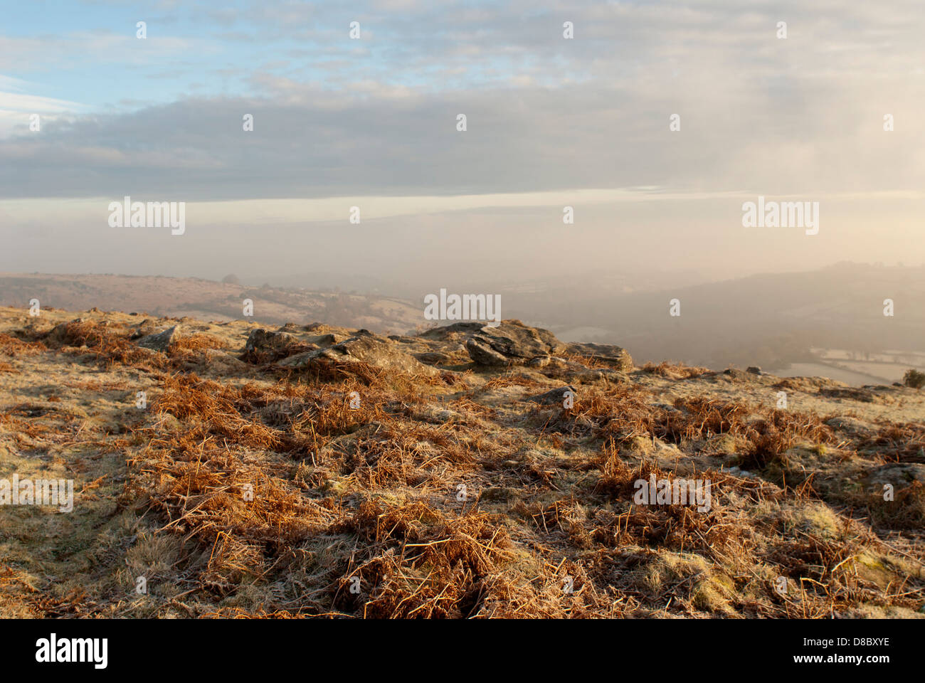 Moorland, Dartmoor National Park, Devon Stock Photo - Alamy