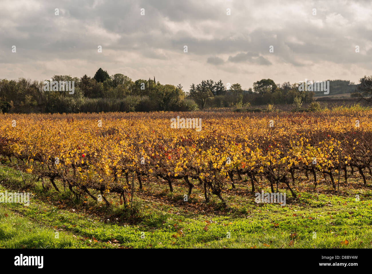 Pinet france hi-res stock photography and images - Alamy