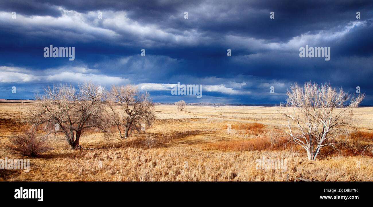 A Colorado landscape Stock Photo - Alamy