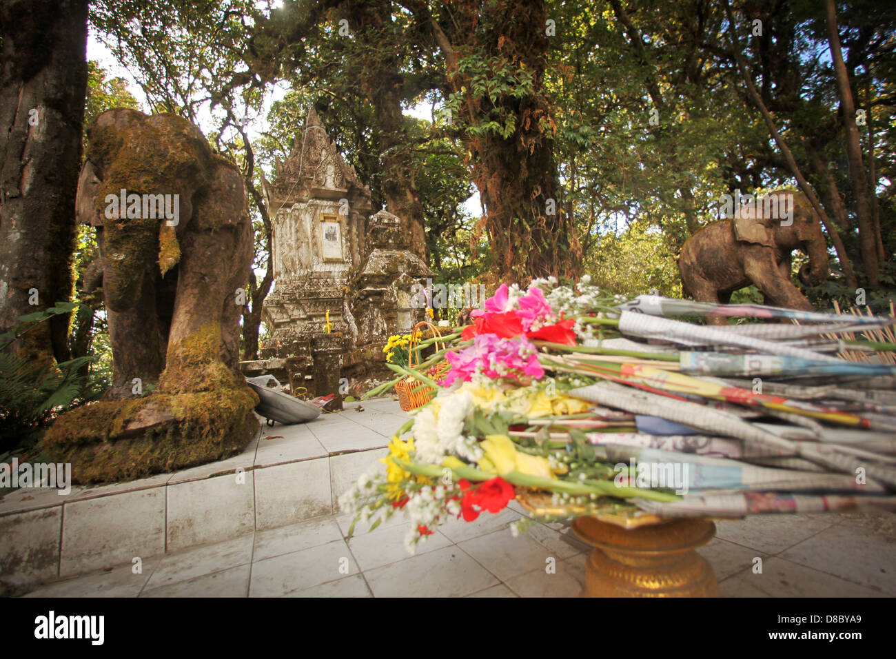 Top of Doi Inthanon and the shrine of prince Intha Witchayanon ...