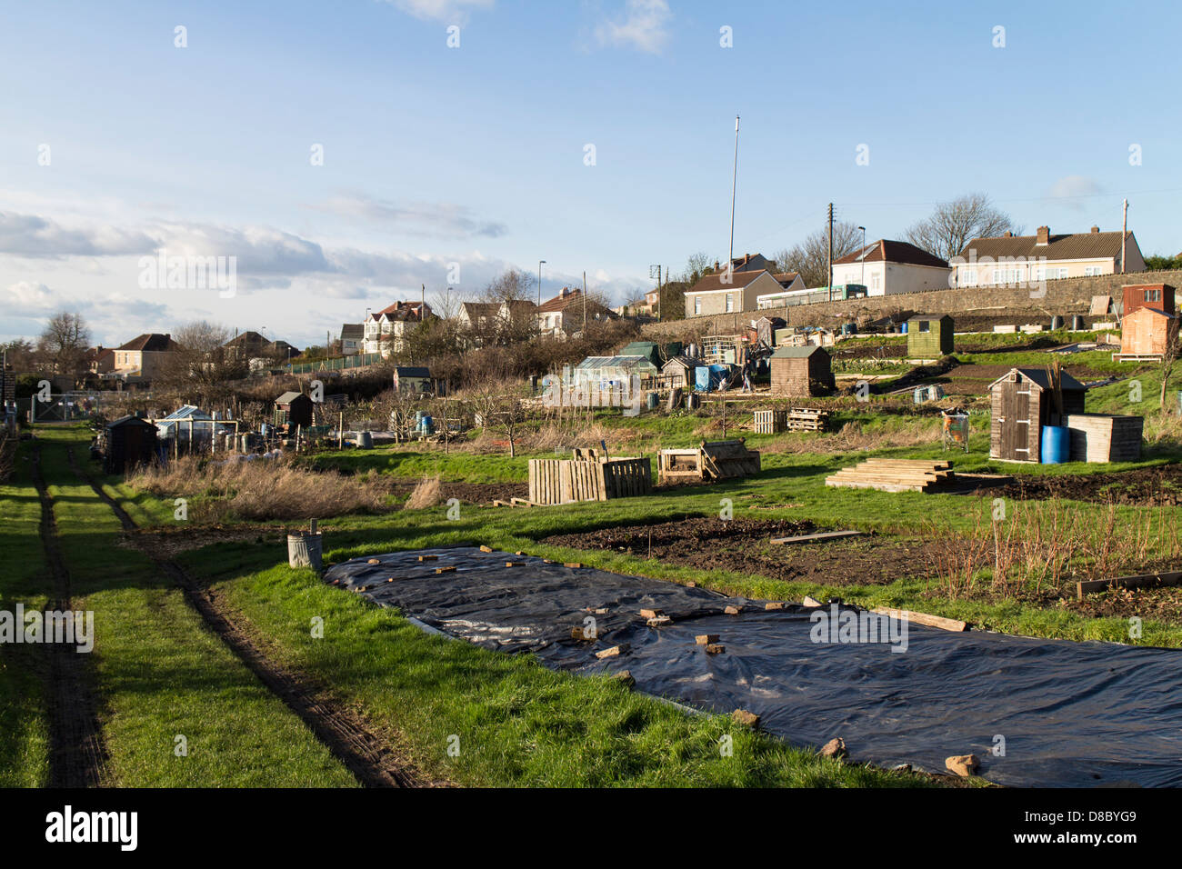 Bristol allotment with Hanham Mount in the background Stock Photo - Alamy