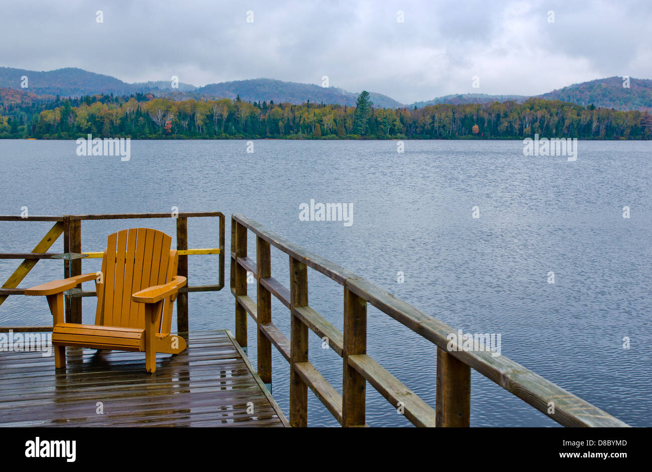 Trees with red autumn leaves in Quebec Stock Photo - Alamy