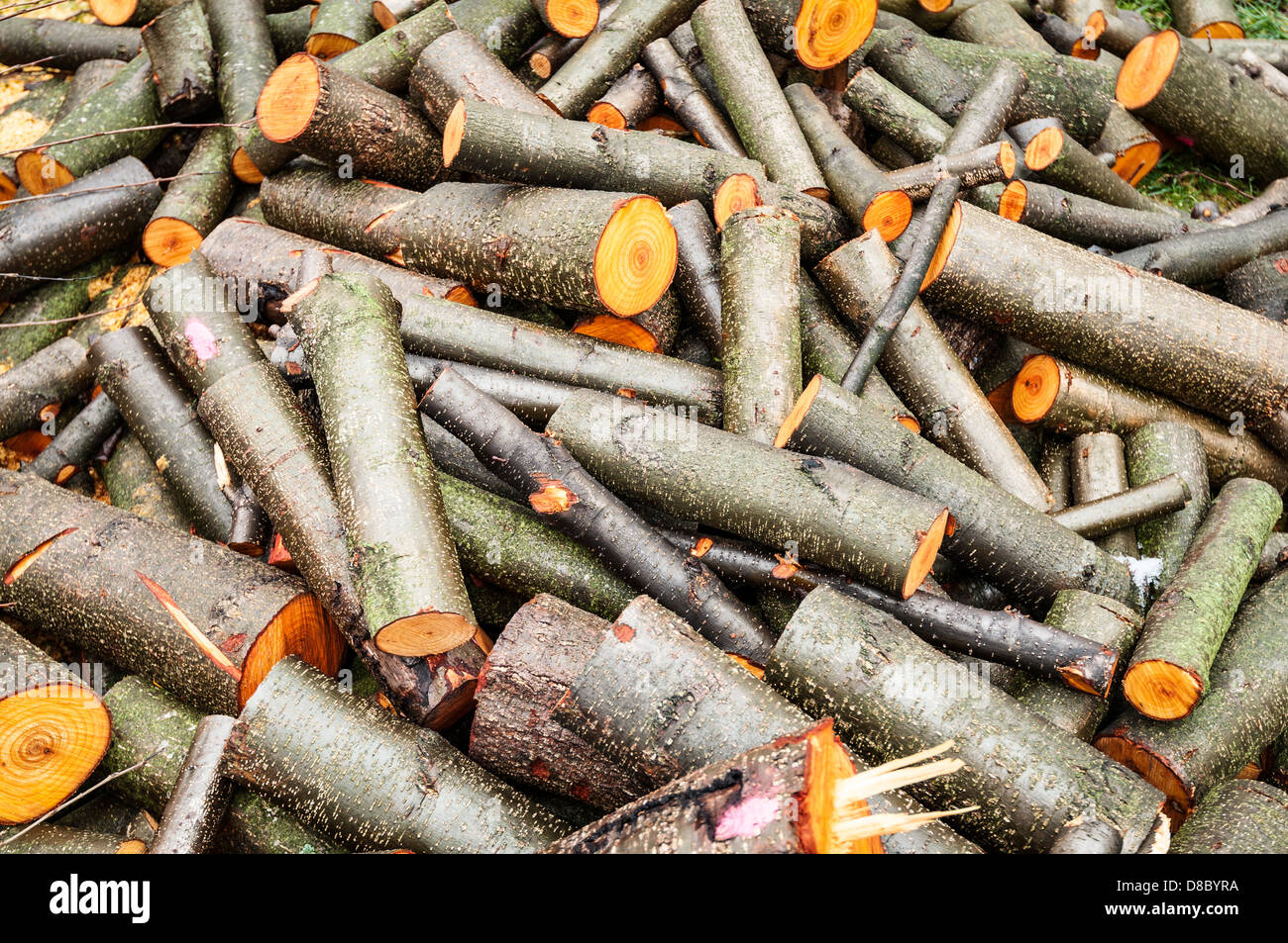 Thick Logs High Resolution Stock Photography and Images - Alamy