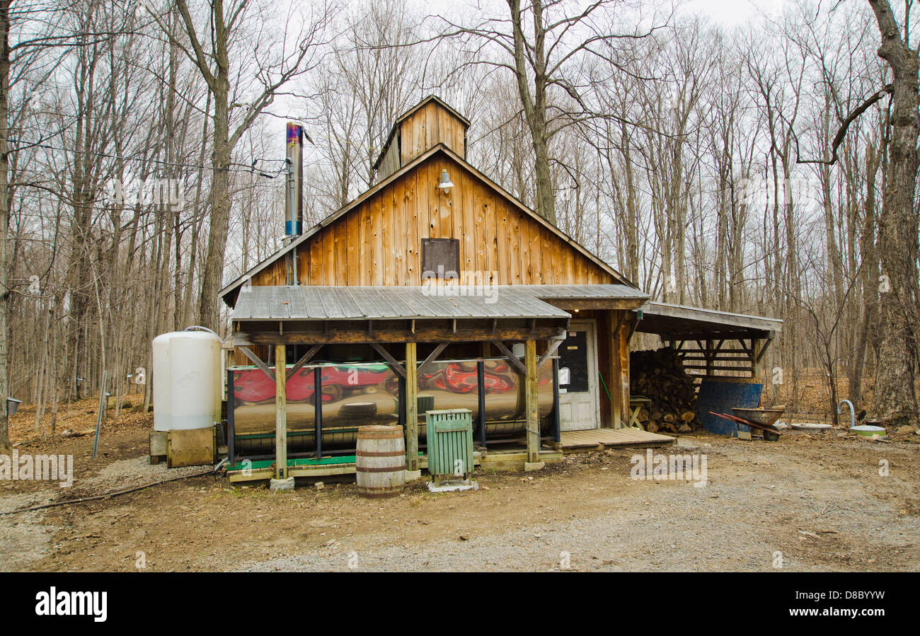This is a typical sugar shack in Quebec where tree sap is boiled into ...