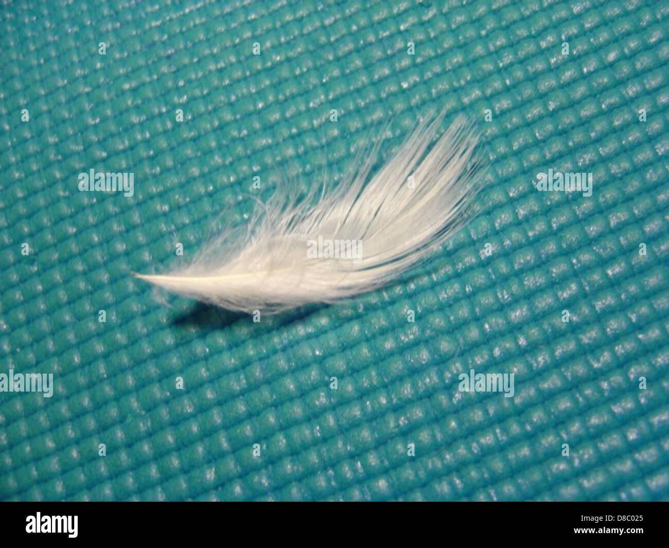 A white feather rests gently on a yoga mat, symbolizing tranquility and ...
