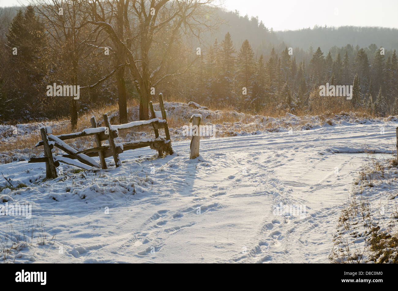 Canada landscape trees hi-res stock photography and images - Alamy