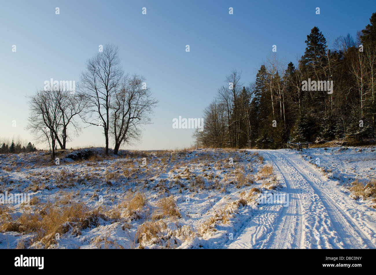 Snowy landscape winter scene hi-res stock photography and images - Alamy