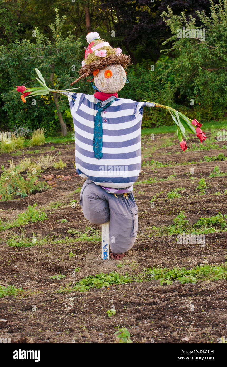Scarecrow birds hi-res stock photography and images - Alamy