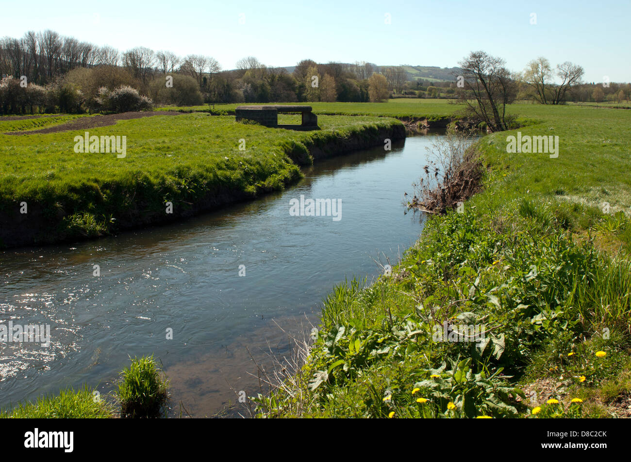 River Axe, Axminster, Devon, England, UK Stock Photo - Alamy