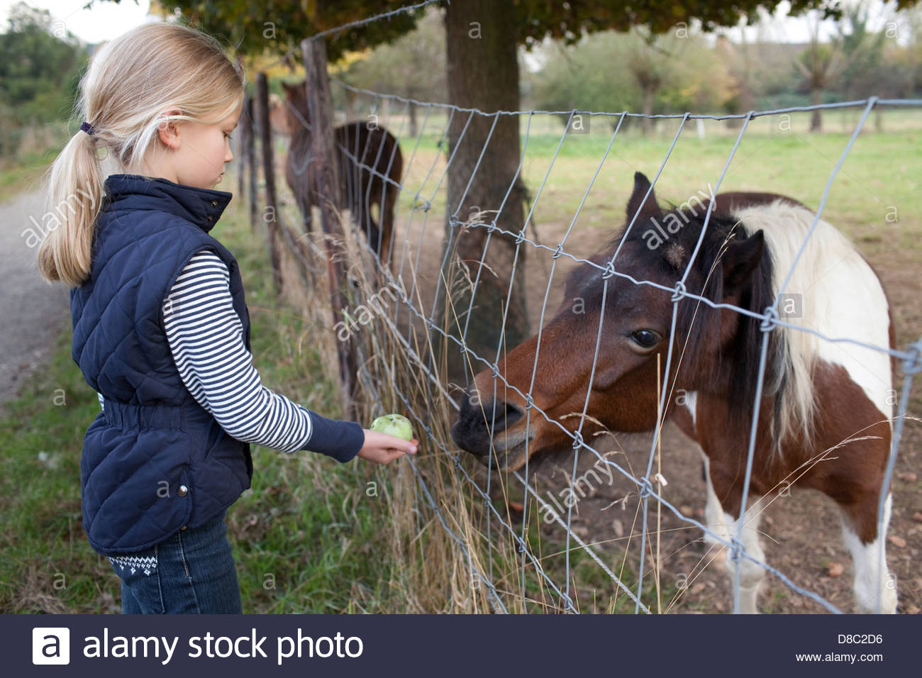Stable Girls Stock Photos & Stable Girls Stock Images - Alamy