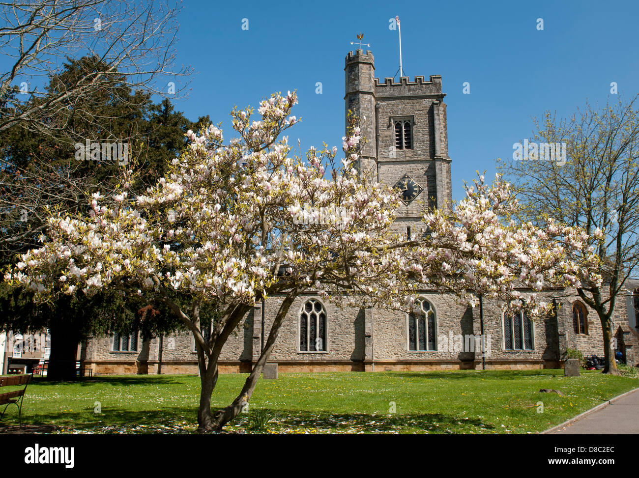 St mary the virgin parish church axminster hi-res stock photography and ...