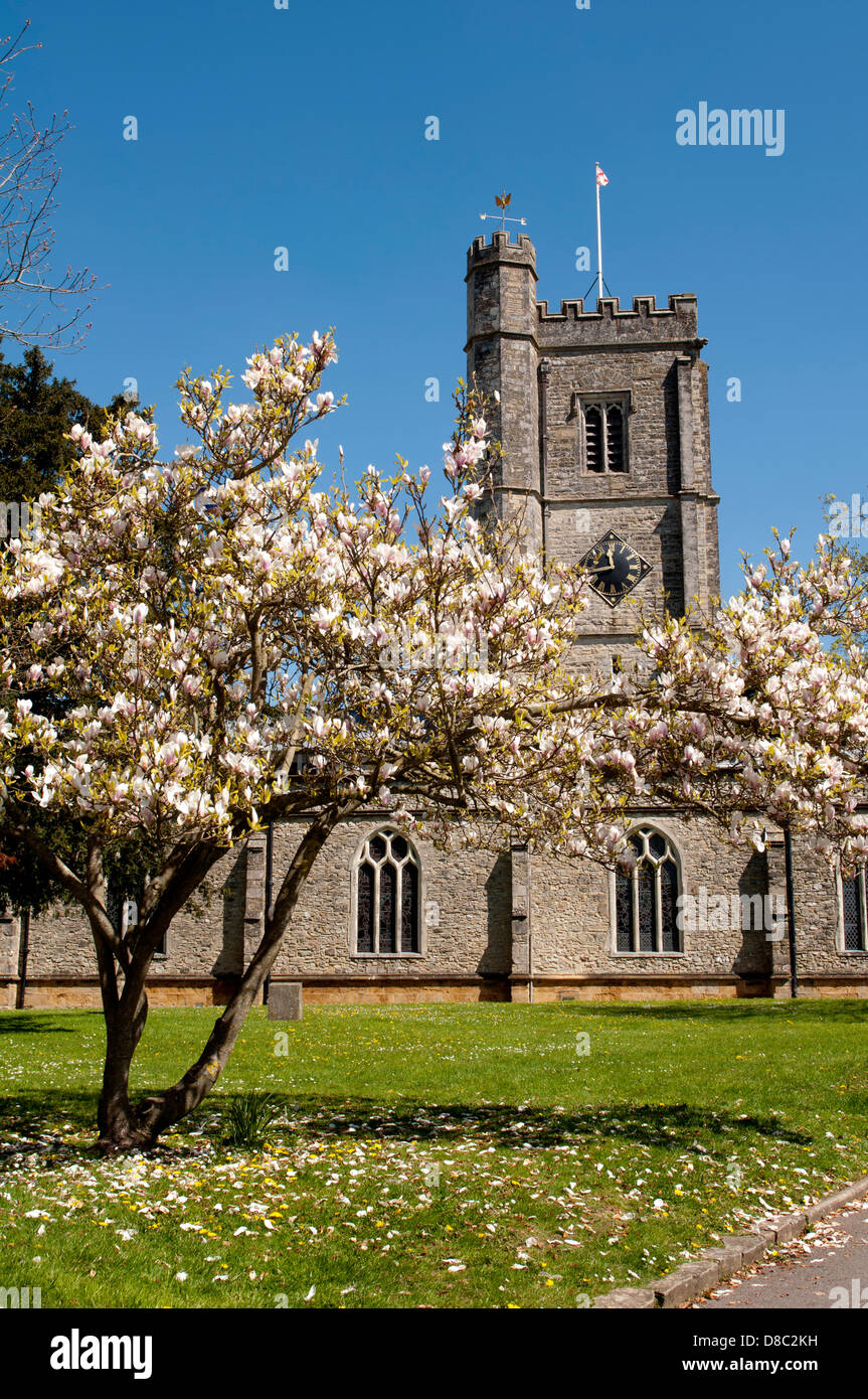 St mary the virgin parish church axminster hi-res stock photography and ...