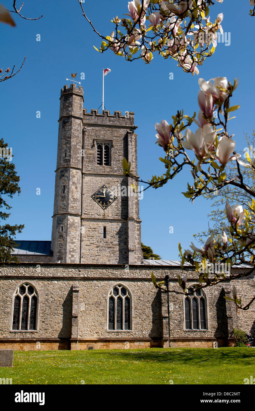St. Mary the Virgin Parish Church, Axminster, Devon, England, UK Stock ...