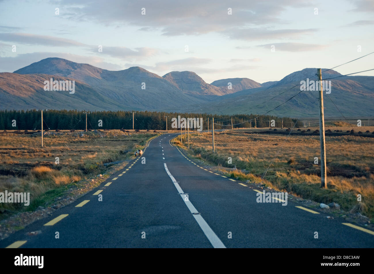 The N59 towards Letterfrack in Connemara, Ireland Stock Photo - Alamy