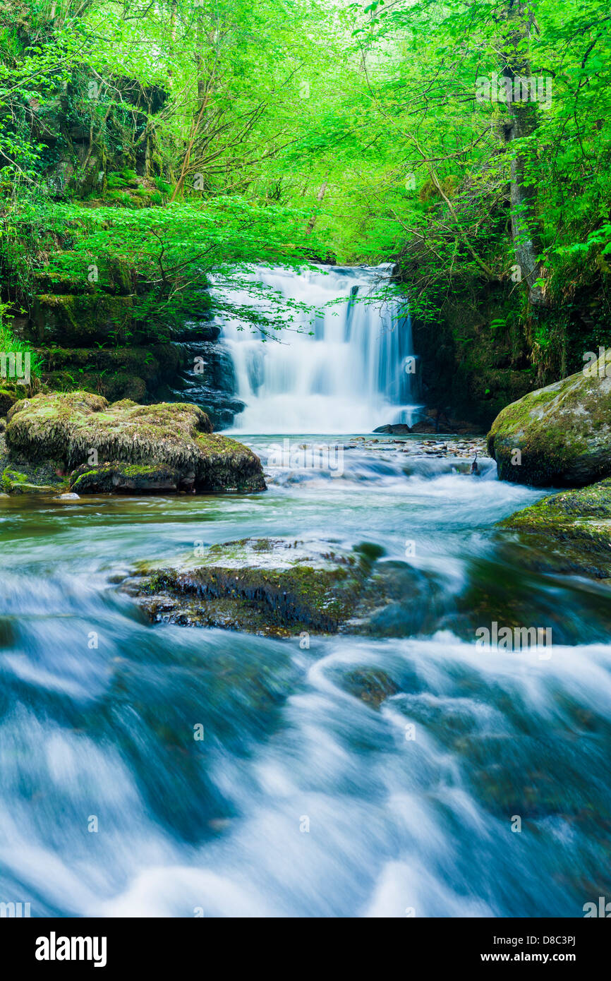 Watersmeet waterfall in devon britain hi-res stock photography and ...