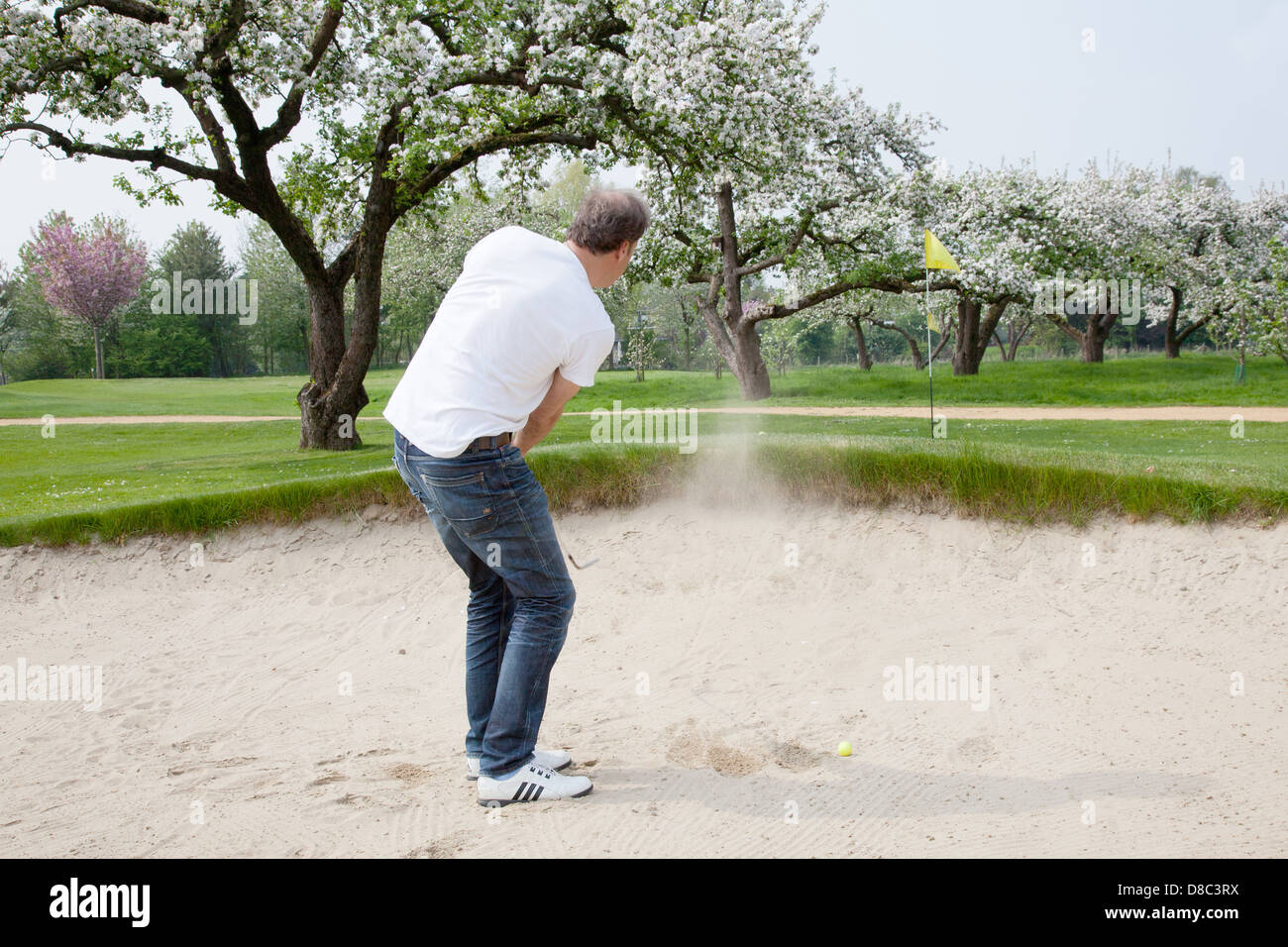 man practicing golf near blossoming orchard in Holland in spring Stock ...