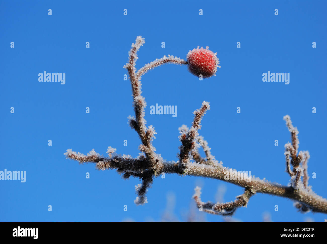 Cool freezing hi-res stock photography and images - Alamy