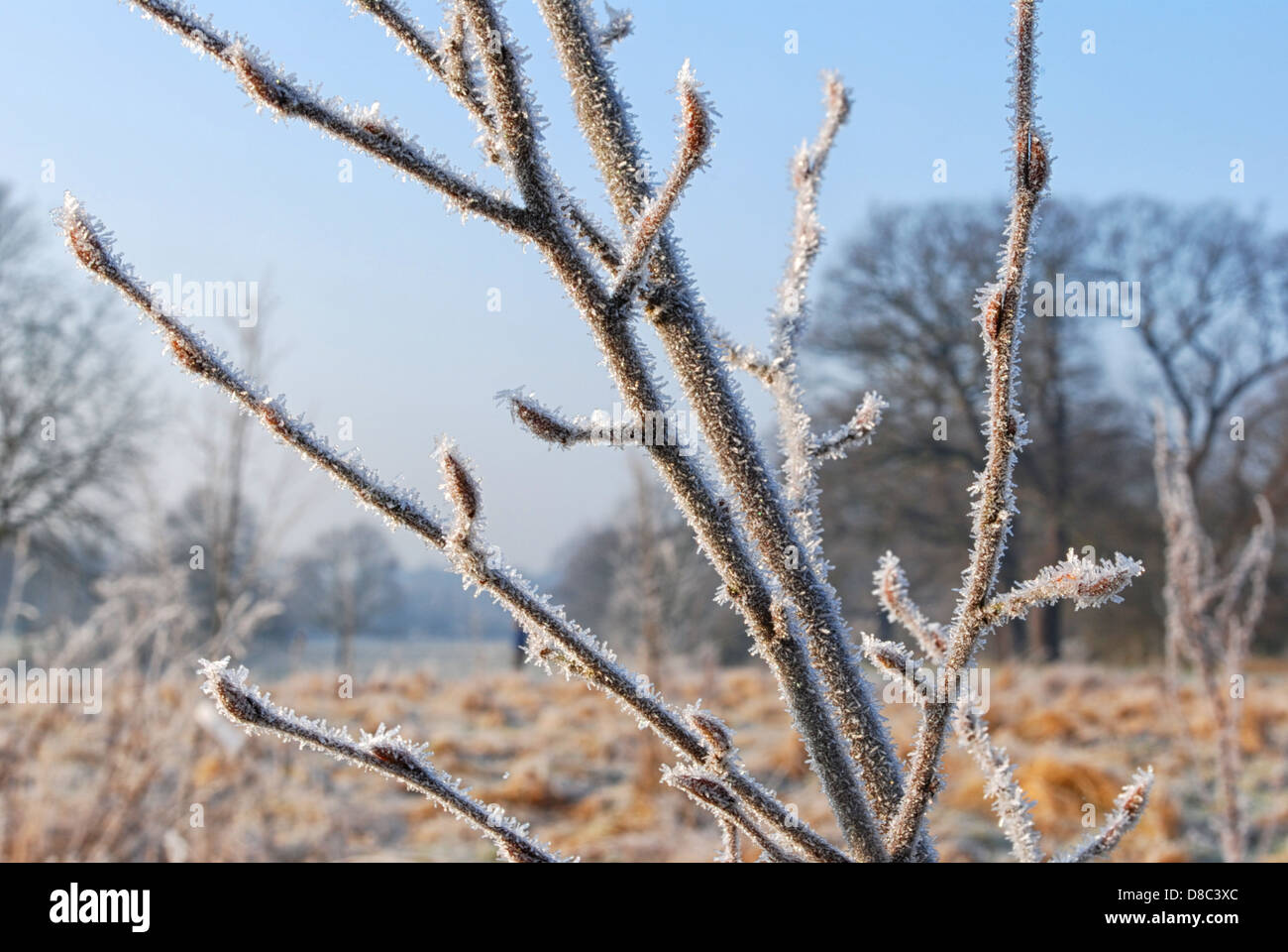Frosty start on a fresh winter morning Stock Photo - Alamy