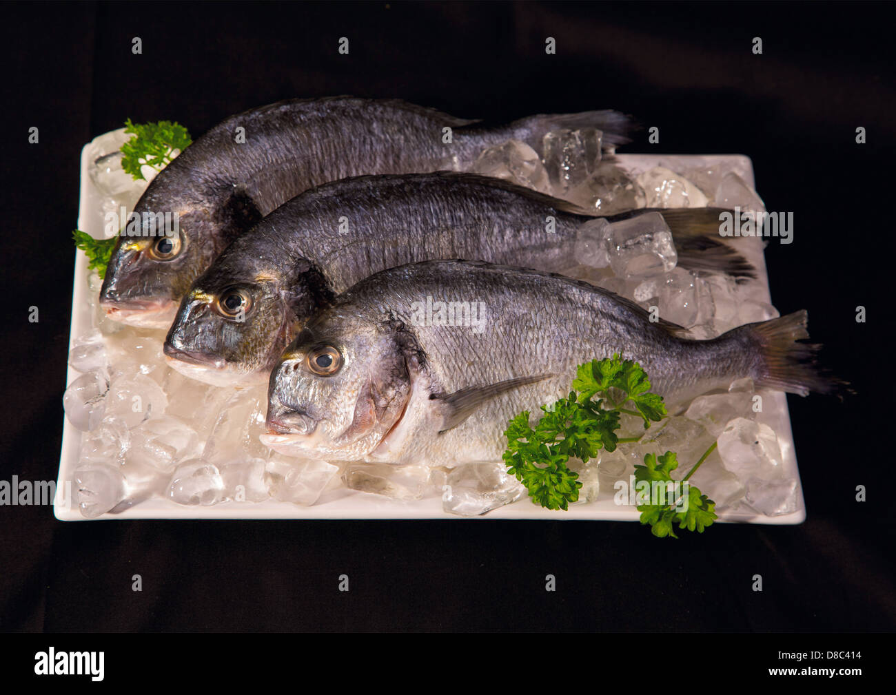Breamfish hi-res stock photography and images - Alamy