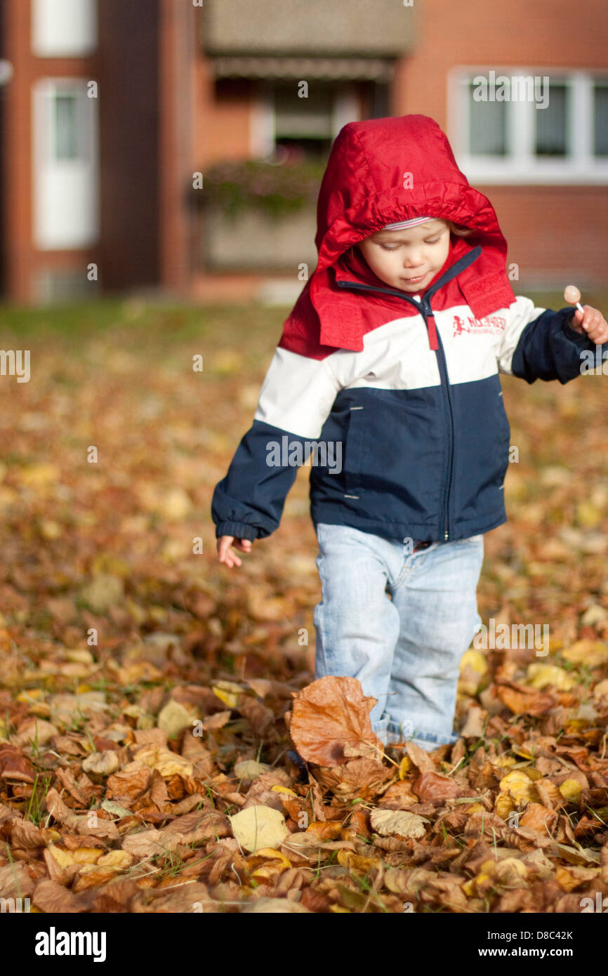 Toddler with lollipop in autumn leaves Stock Photo - Alamy